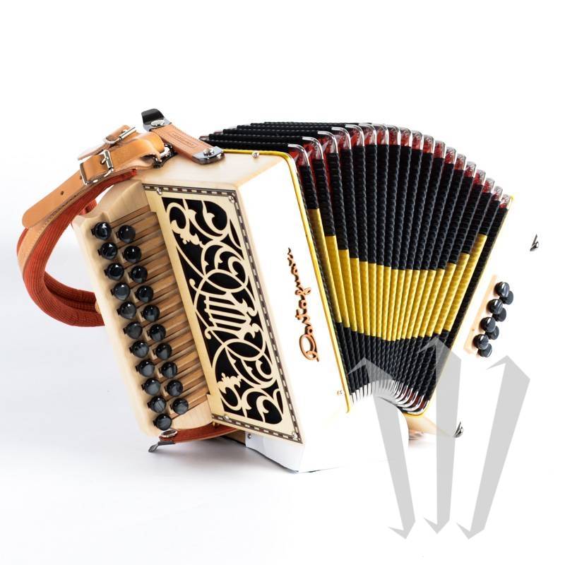 Castagnari Lilly accordion